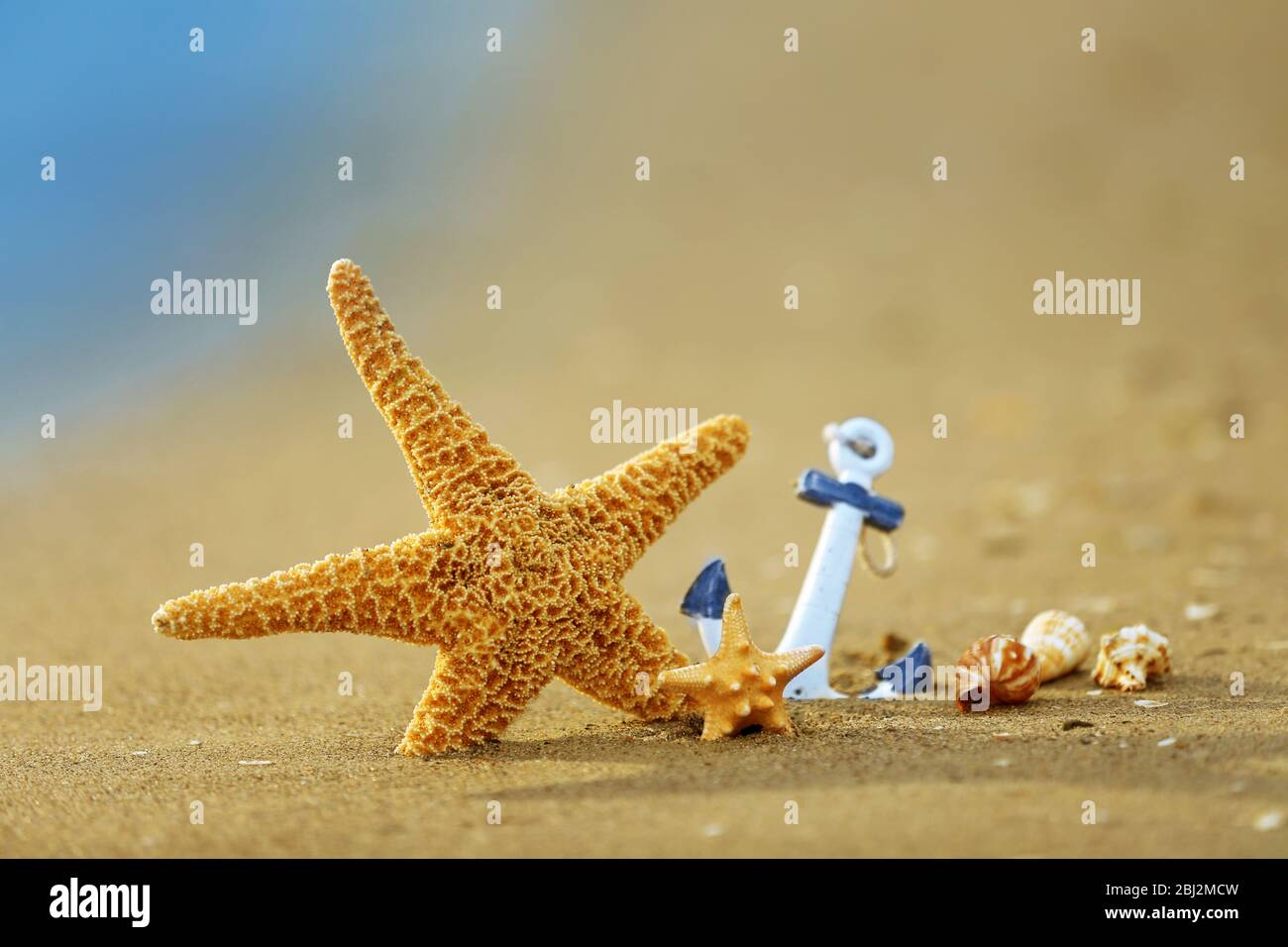 Beautiful starfish and anchor on unfocused background Stock Photo - Alamy