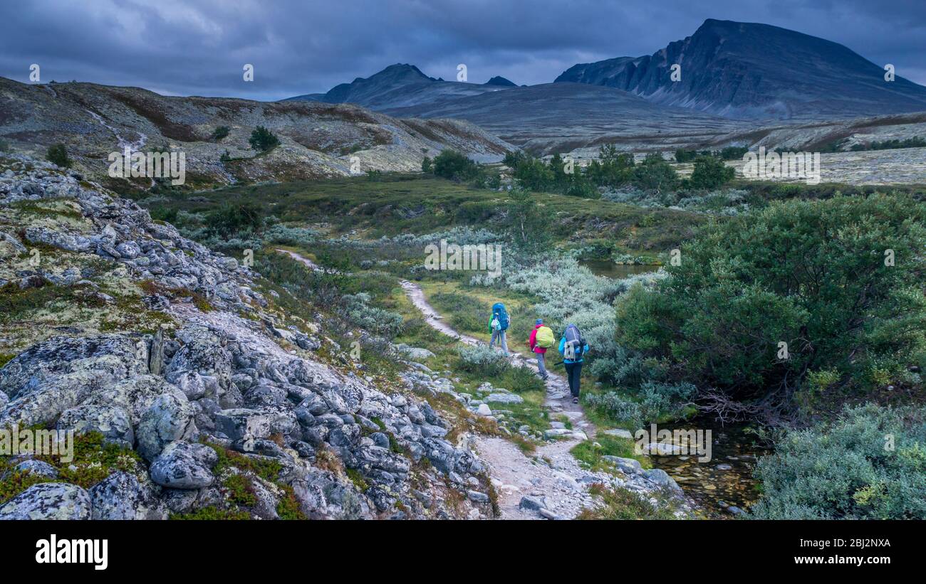 Norway, in the summer, hiking in Rondane National park with children ...
