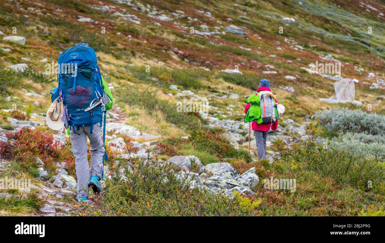 Norway, in the summer, hiking in Rondane National park with children ...
