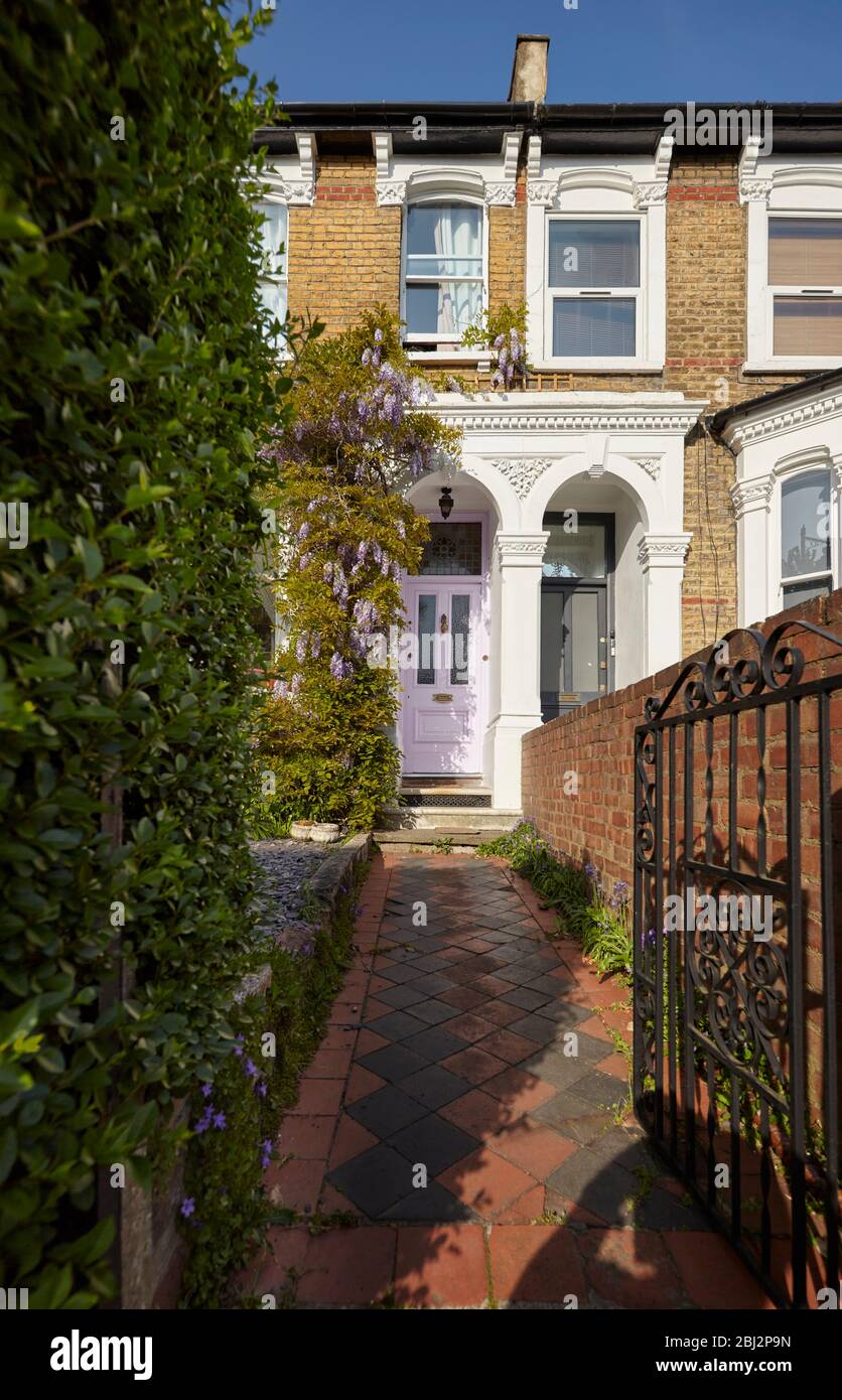Terraced houses with Wisteria on Ashmount road in Islington, North ...