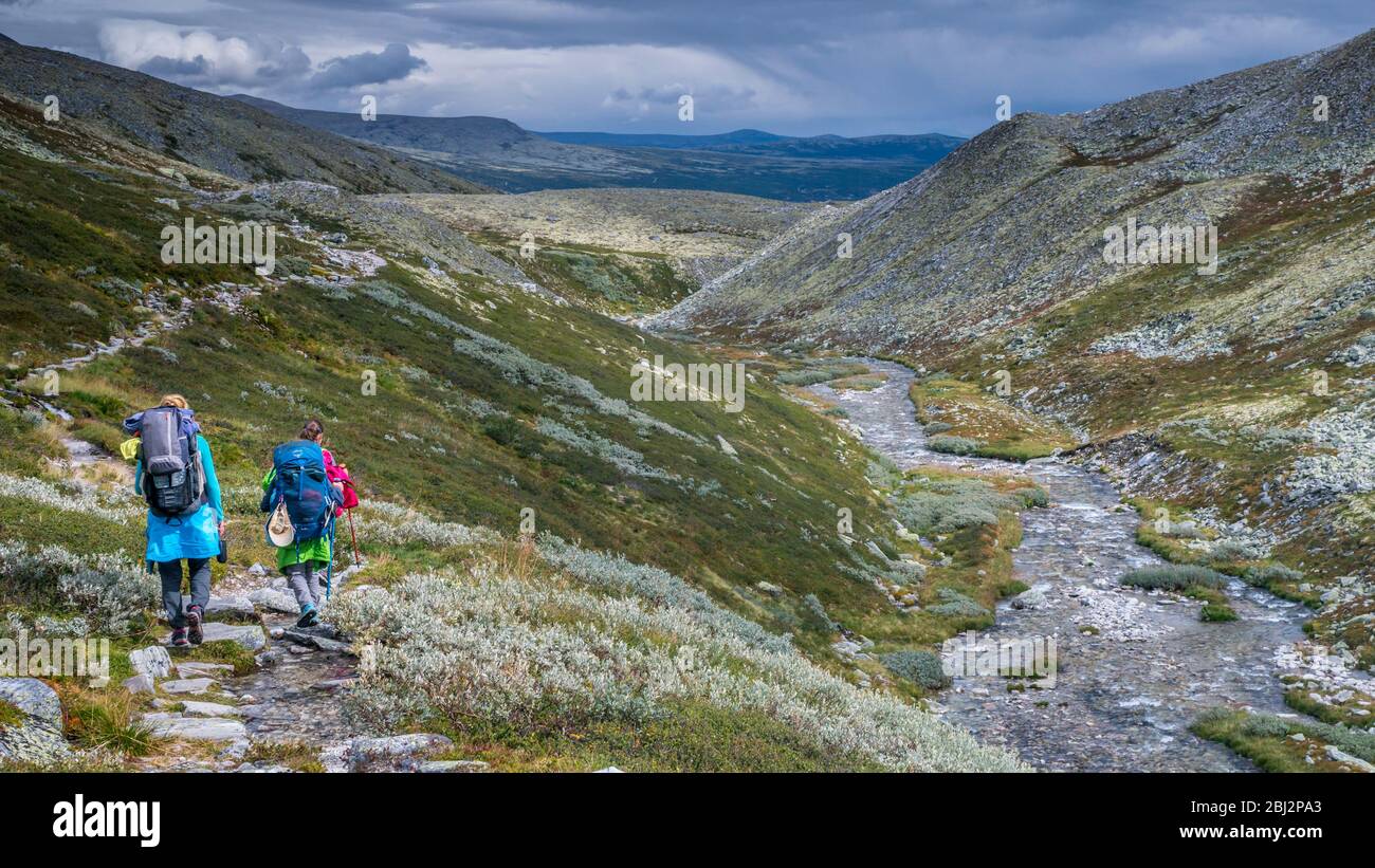 Norway, in the summer, hiking in Rondane National park with children ...