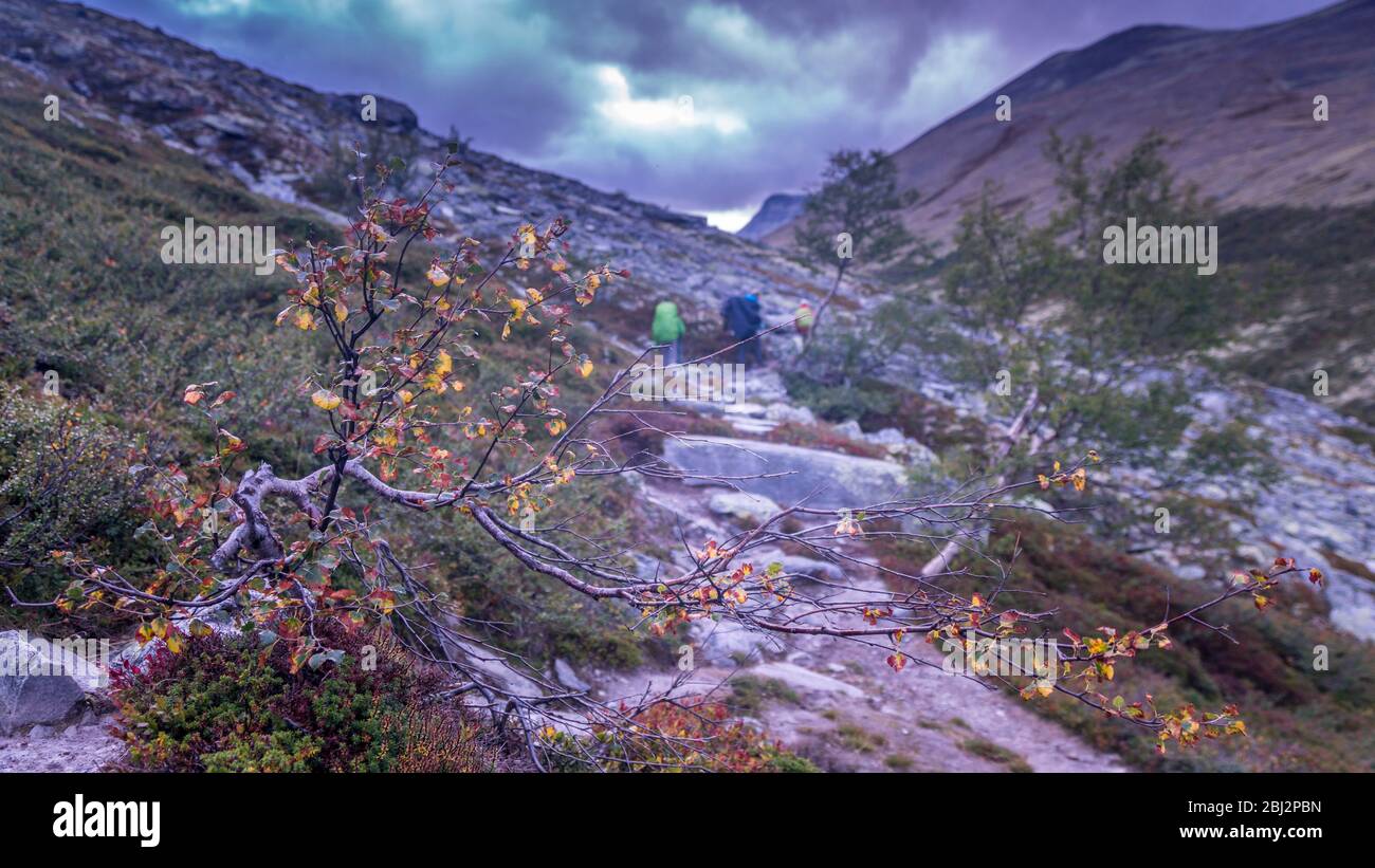Norway, in the summer, hiking in Rondane National park with children ...