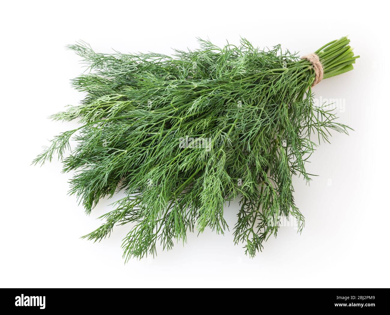Dill bunch hi-res stock photography and images - Alamy