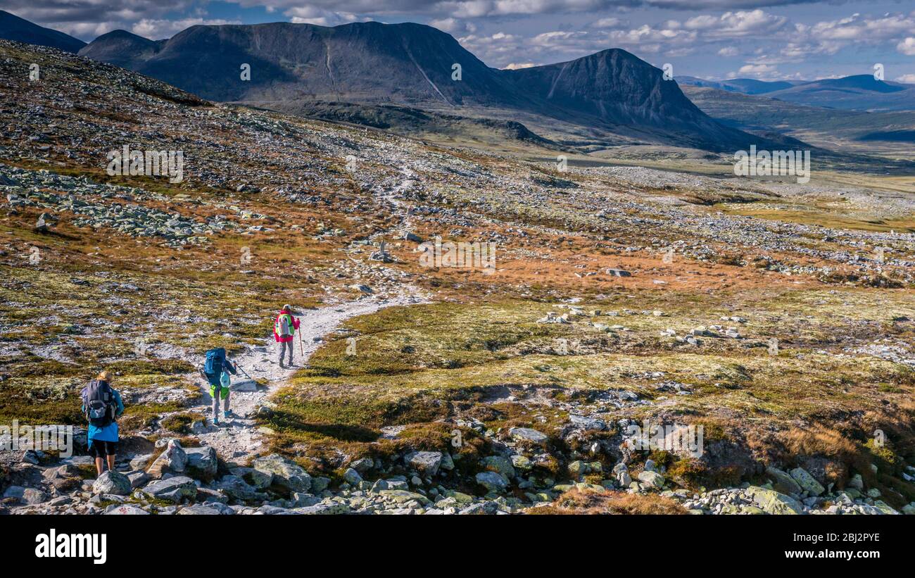 Norway, in the summer, hiking in Rondane National park with children ...