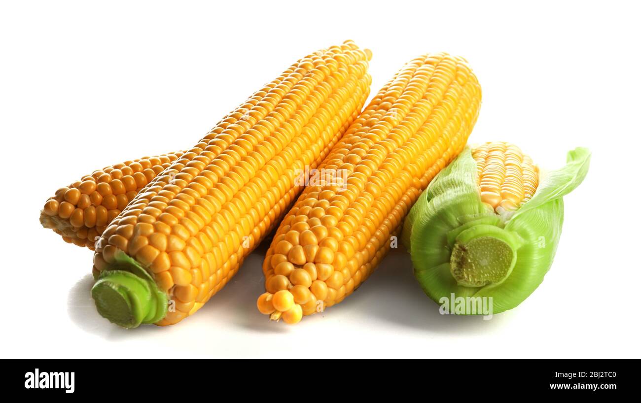 Farmer corn field Cut Out Stock Images & Pictures - Alamy
