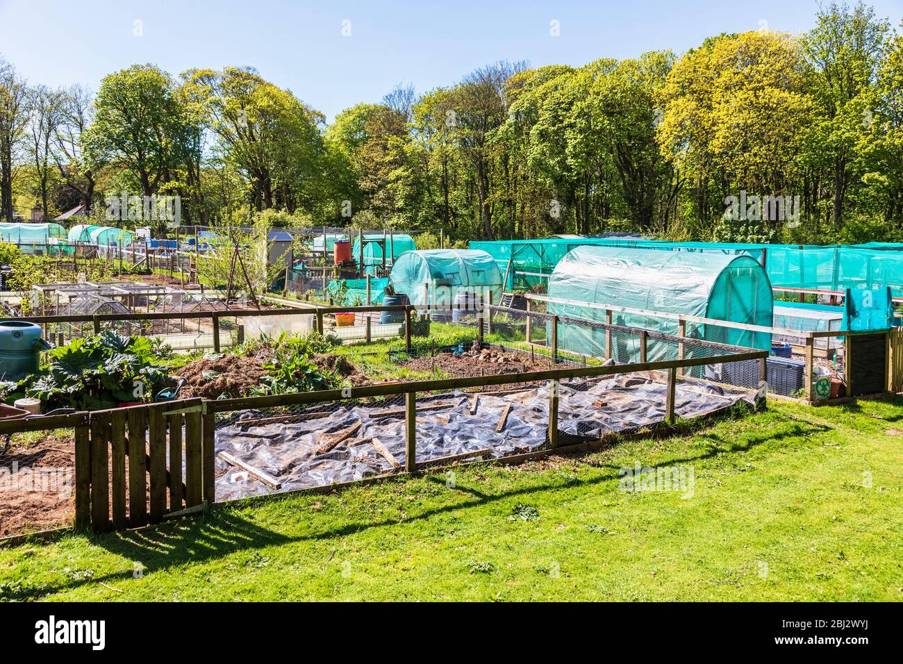 Troon allotments hi-res stock photography and images - Alamy