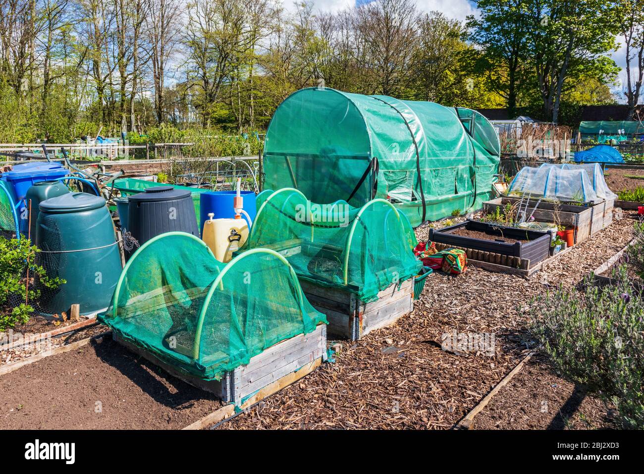 Detail of allotments in Troon allotments society gardens, Troon ...