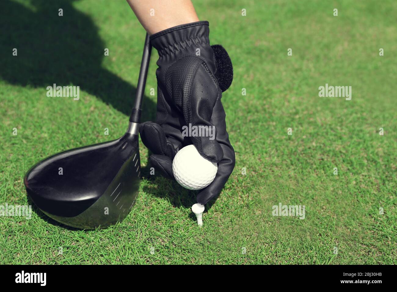 Hand in black glove with golf club and ball on green grass background ...