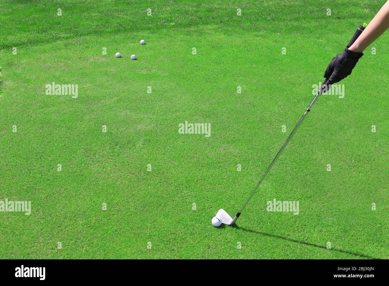 Hand in black glove with golf club and ball on green grass background ...