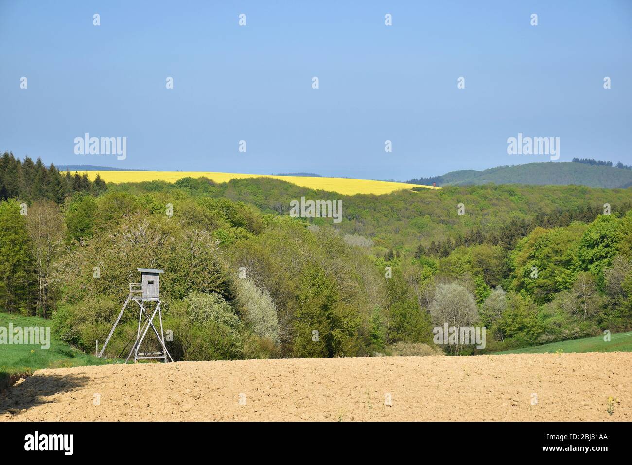 Scenic landscape with fields, forest and hunters lookout in the Eifel ...
