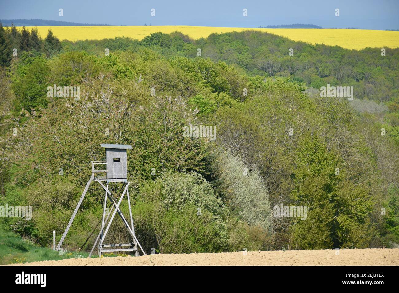 Scenic landscape with forest, fields and hunters lookout in the Eifel ...