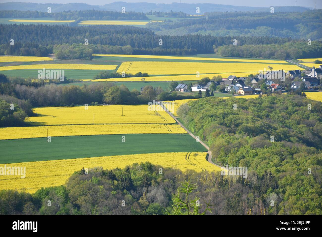 Landscape with green and yellow rapeseed fields small village and ...