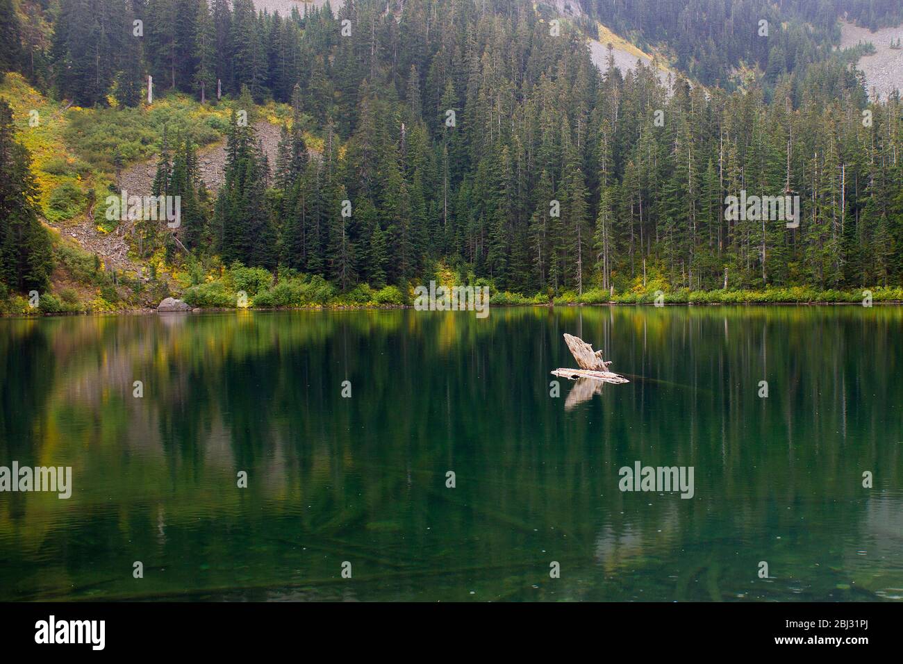 mountains and lakes in Seattle Stock Photo - Alamy