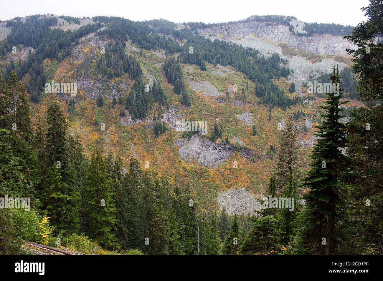 Seattle wallpaper hi-res stock photography and images - Alamy