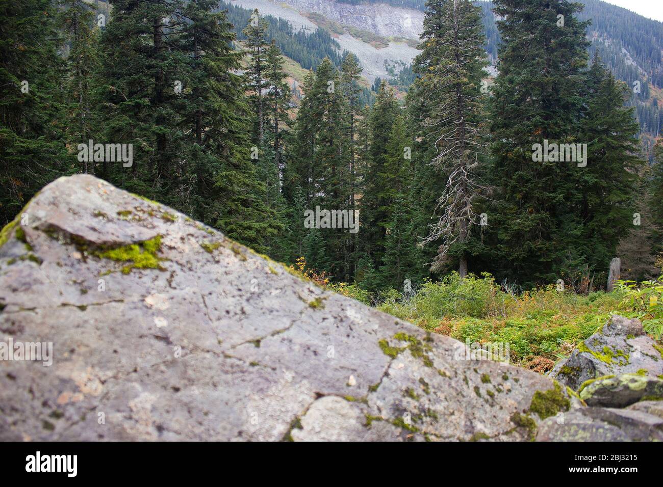 Mountains in Seattle Stock Photo - Alamy
