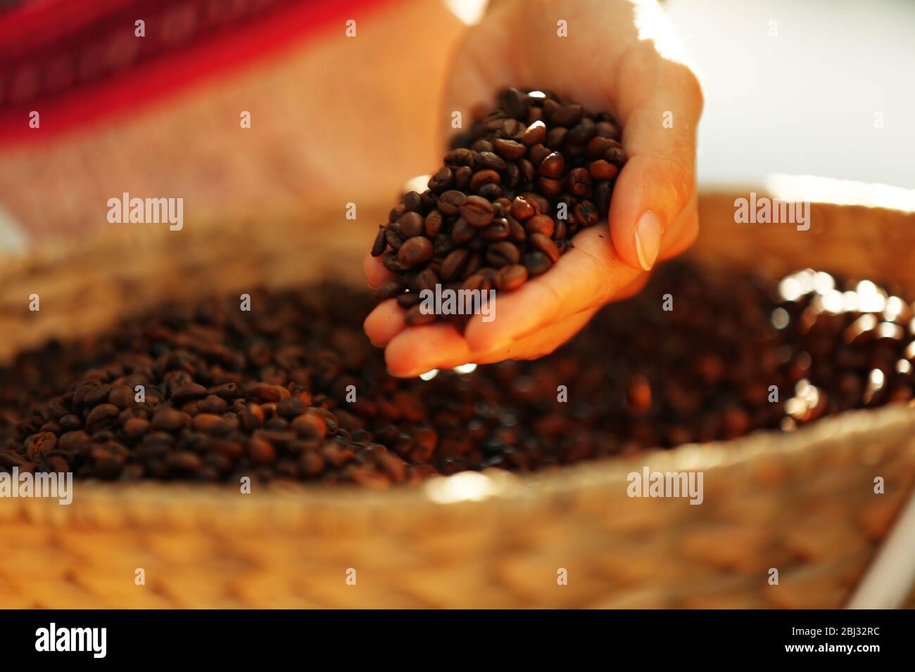 Female hand touching coffee beans in the basket Stock Photo - Alamy