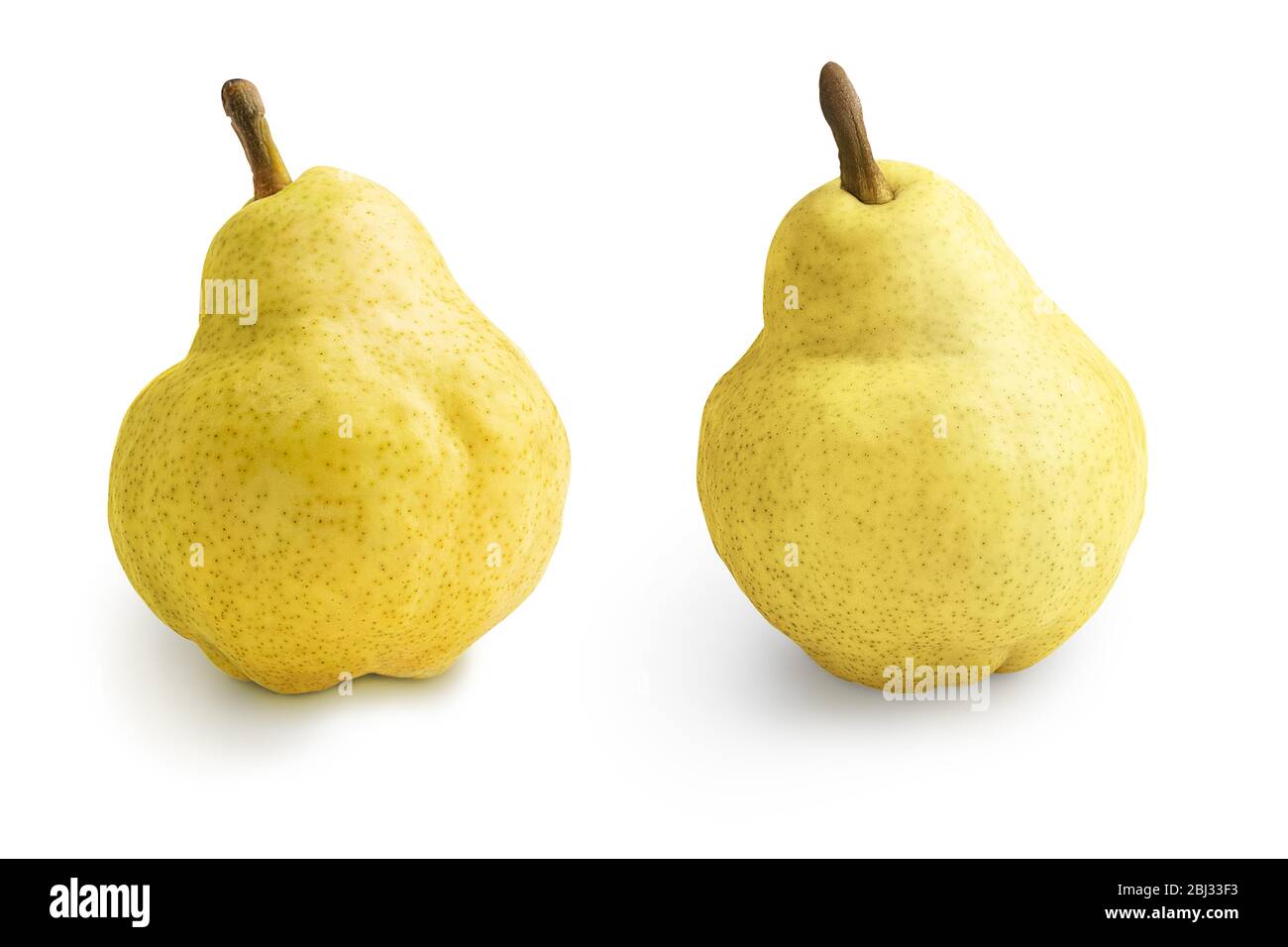 Yellow Pear Fruit