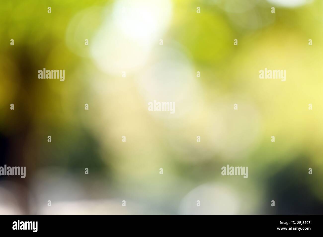 Abstract green nature background Stock Photo - Alamy