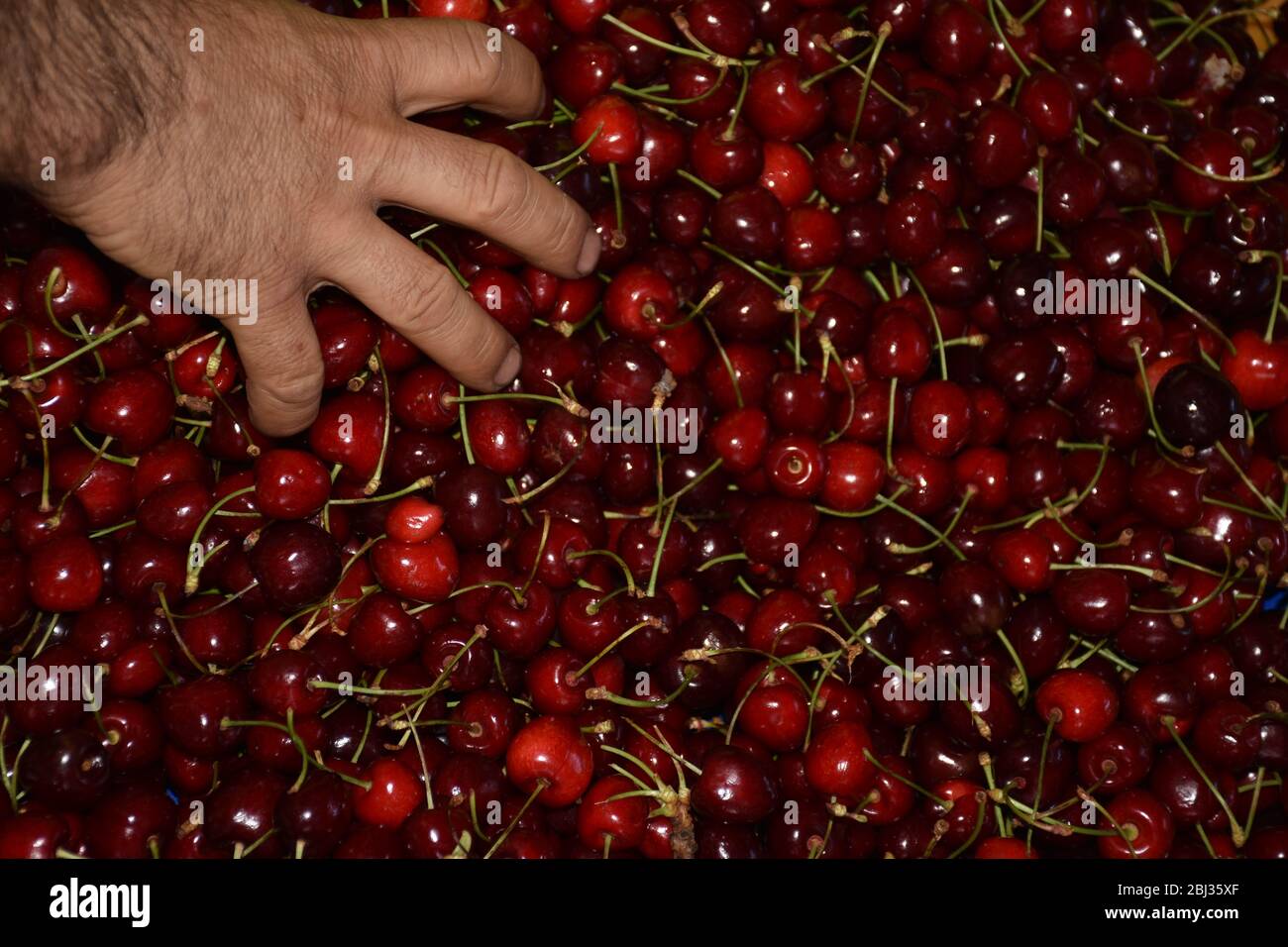 Fresh Cherries on a market stall in Turkey Stock Photo - Alamy