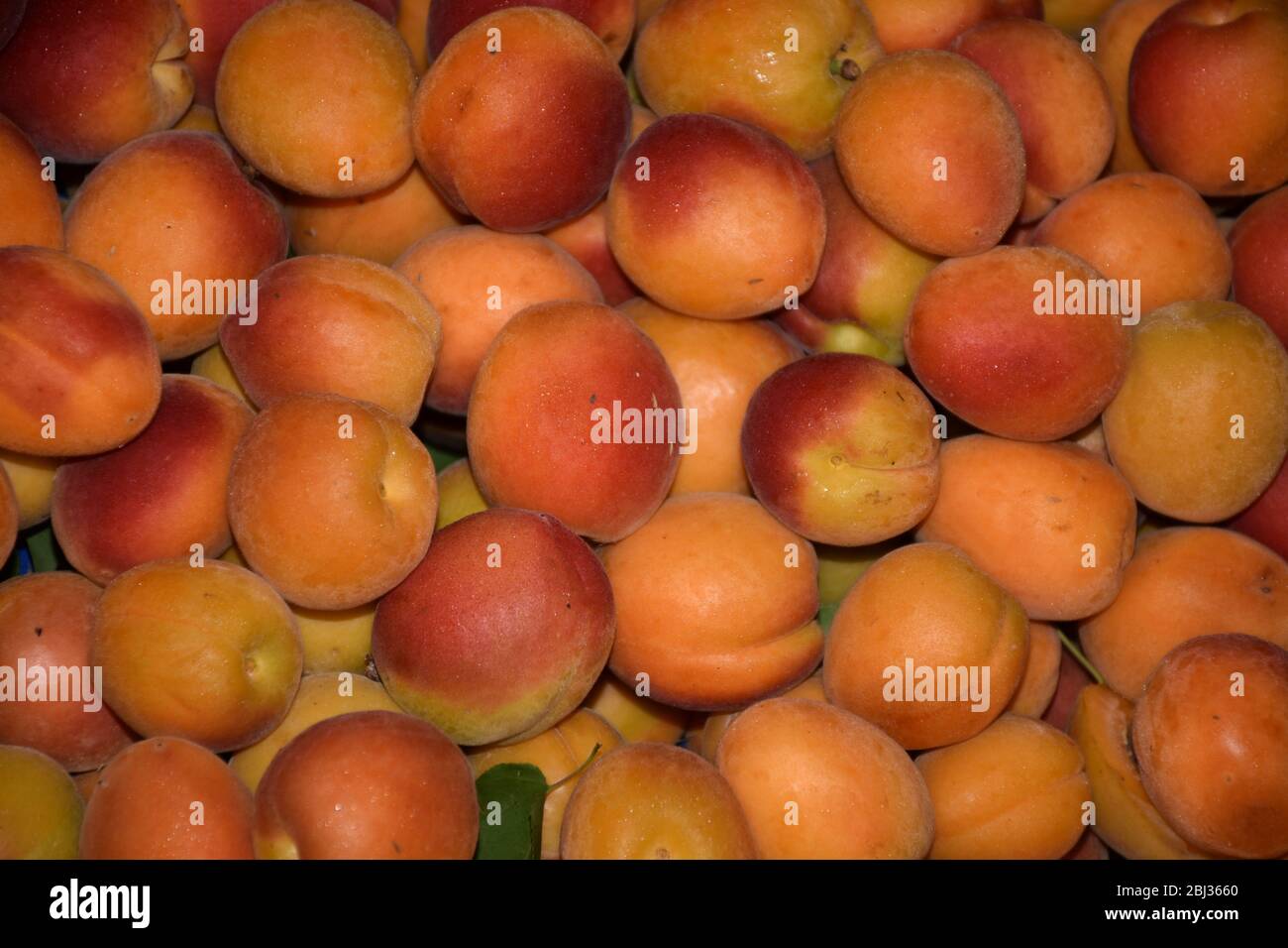 Turkey apricots hi-res stock photography and images - Alamy