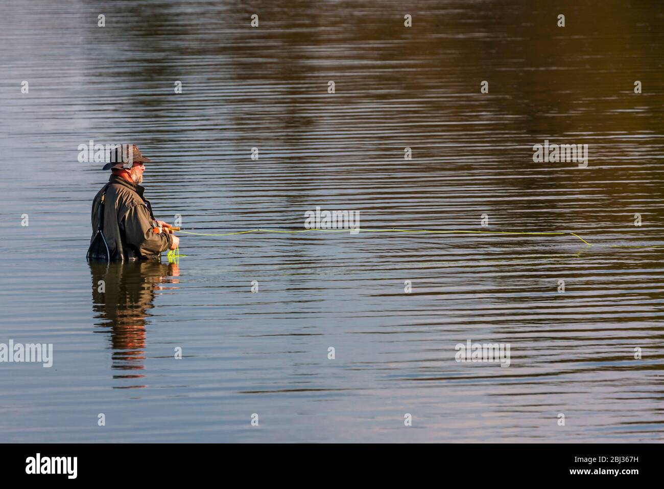 Trout fisherman wading at Thornton Reservoir in Leicestershire Stock ...