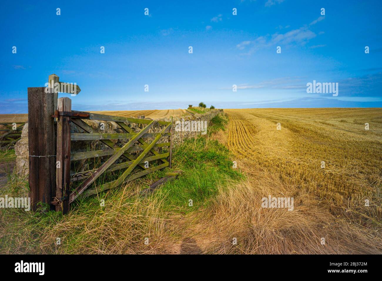Recently combined hi-res stock photography and images - Alamy