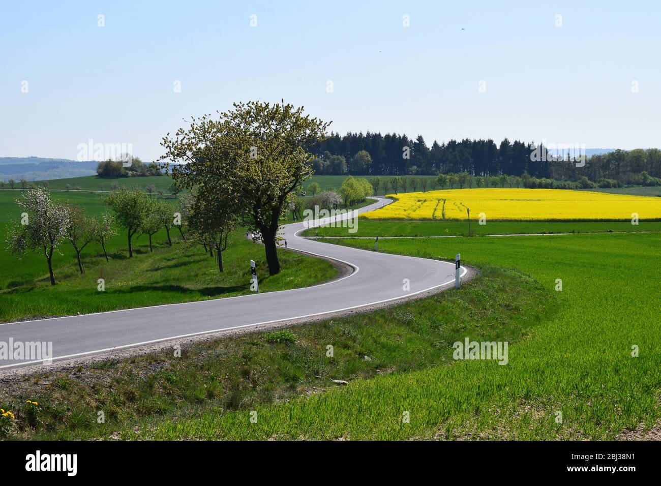 empty road in spring landscape, Eifel Stock Photo - Alamy