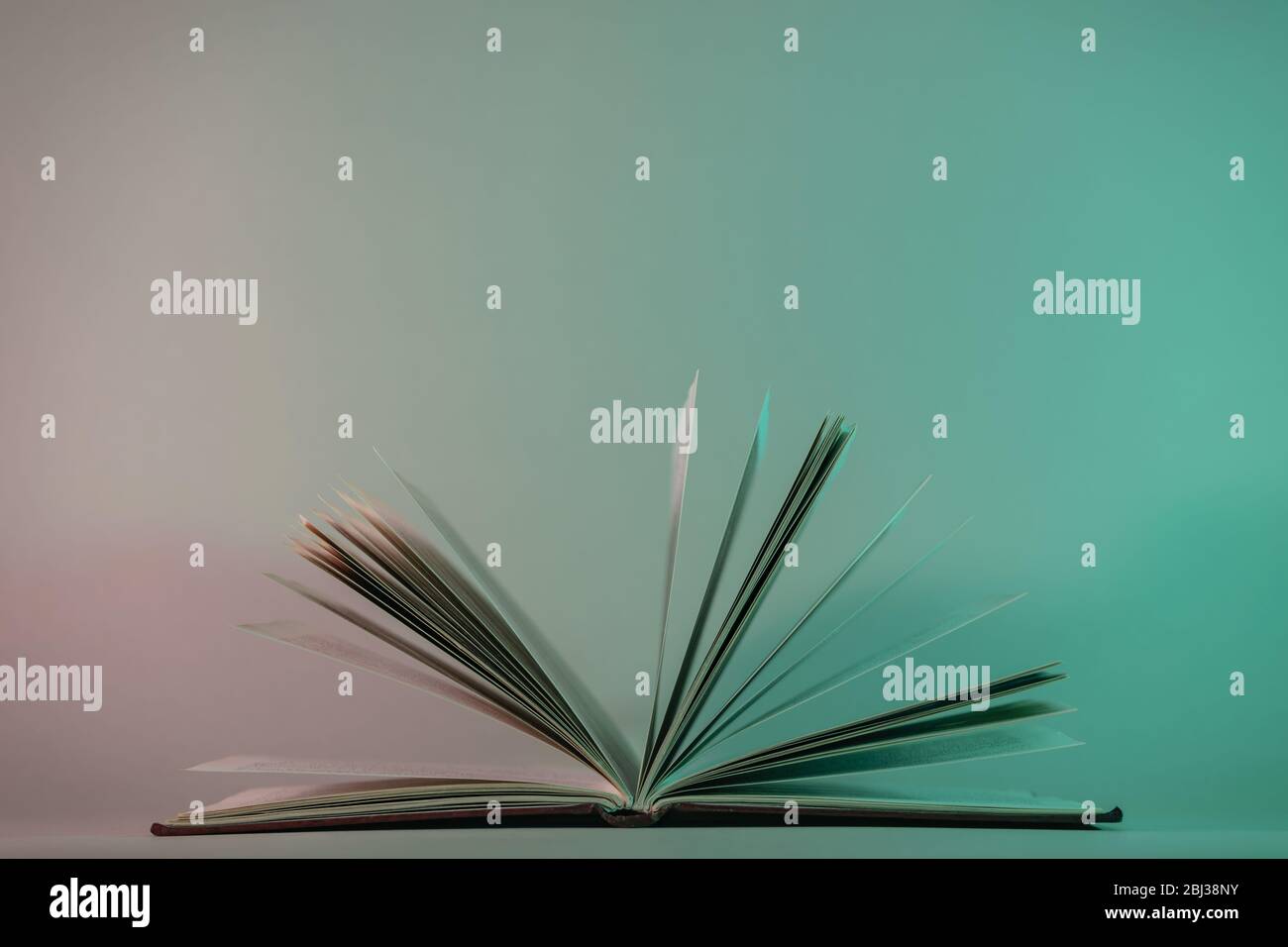 Beautiful open old book pages in neon light. Minimalism retro style ...