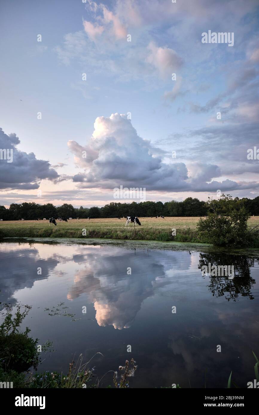 Evening light over Constable country between Flatford and Dedham on the ...