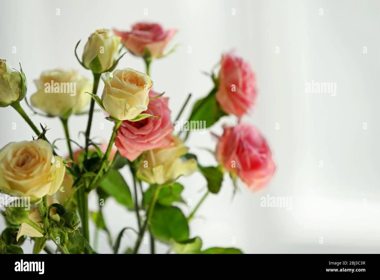 Beautiful spring flowers on soft window background close-up Stock Photo ...