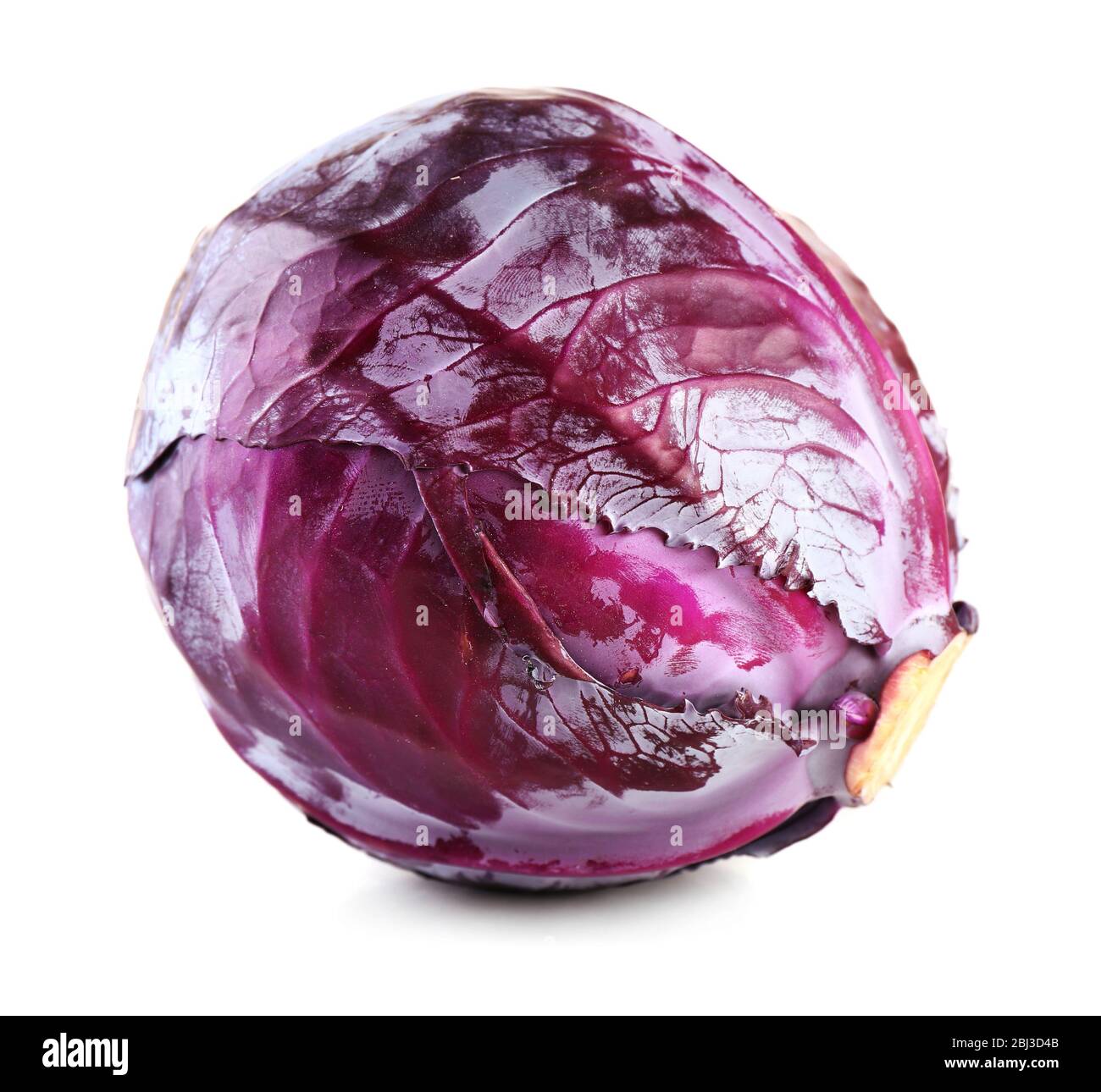 Cut cross section cabbage half sliced Cut Out Stock Images & Pictures ...