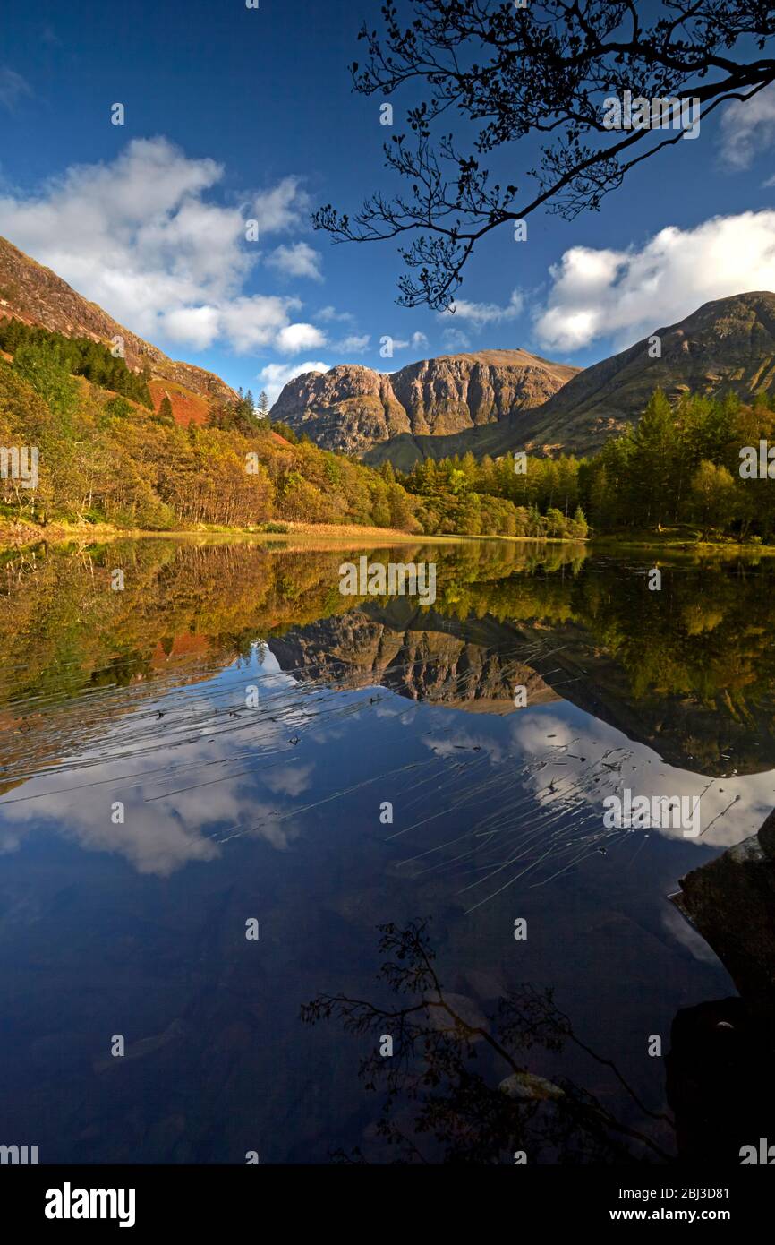 Aonach Dubh reflected in the still waters of Torren Lochan Stock Photo ...