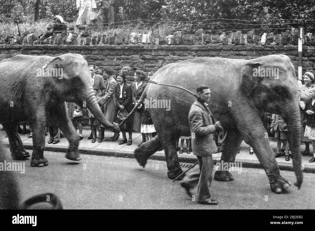 Chipperfield's circus Black and White Stock Photos & Images - Alamy