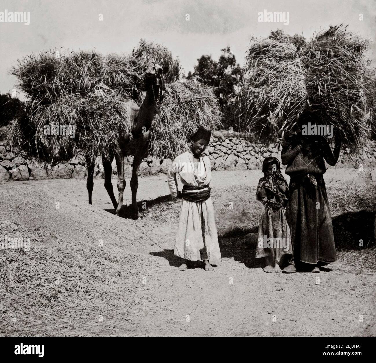 Palestinian, Middle Eastern towns and cities circa 1900 of medieval ...