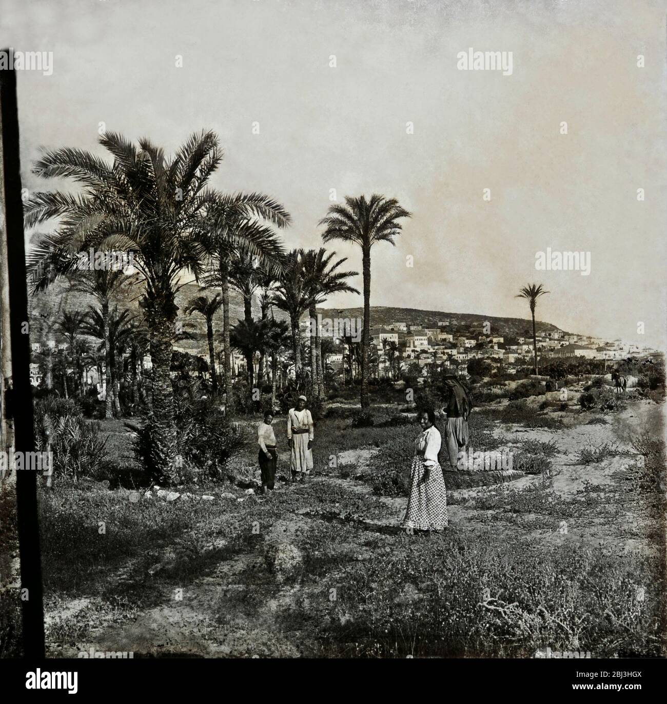 Palestinian, Middle Eastern towns and cities circa 1900 of medieval ...