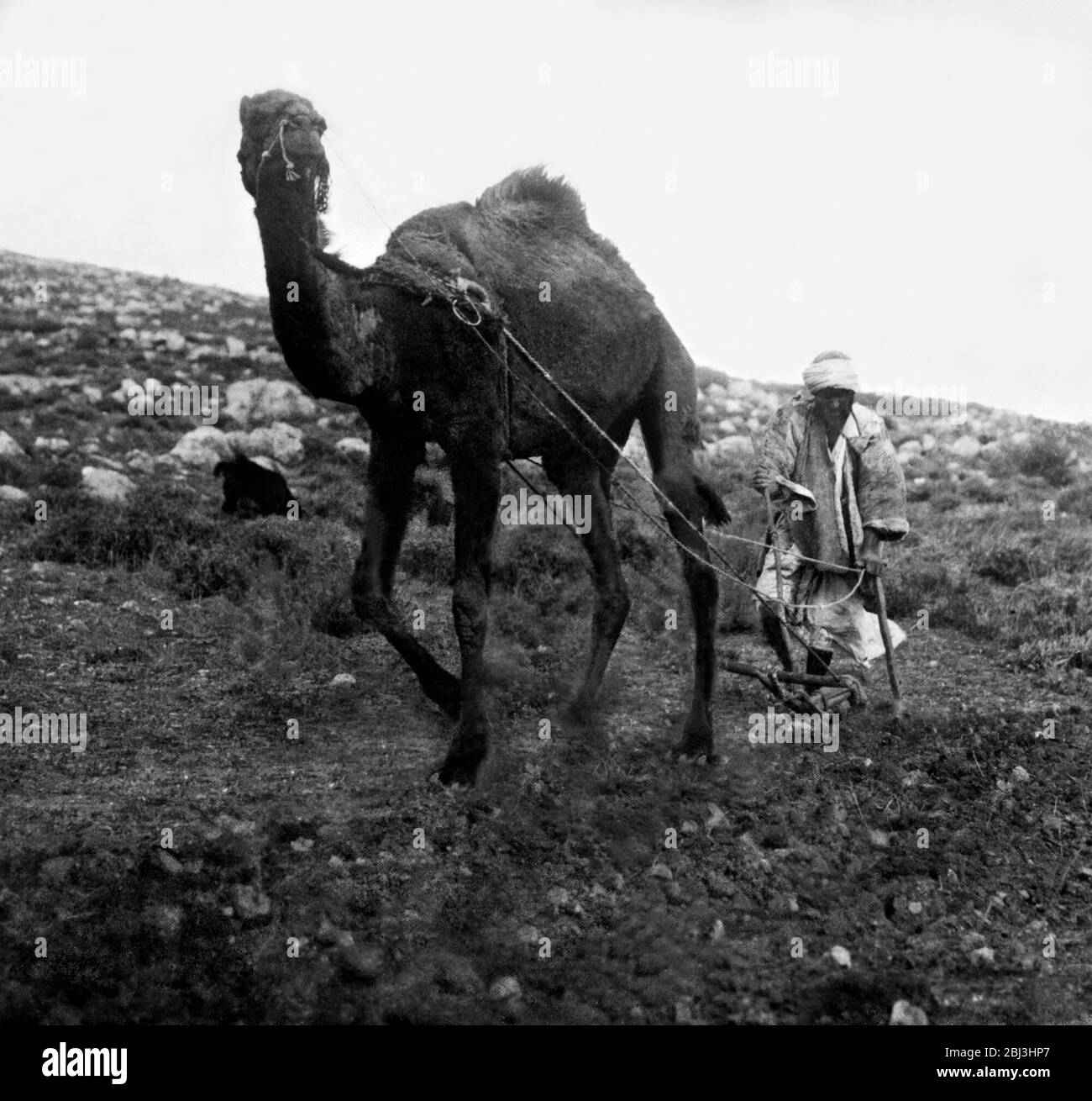 Palestinian, Middle Eastern towns and cities circa 1900 of medieval ...