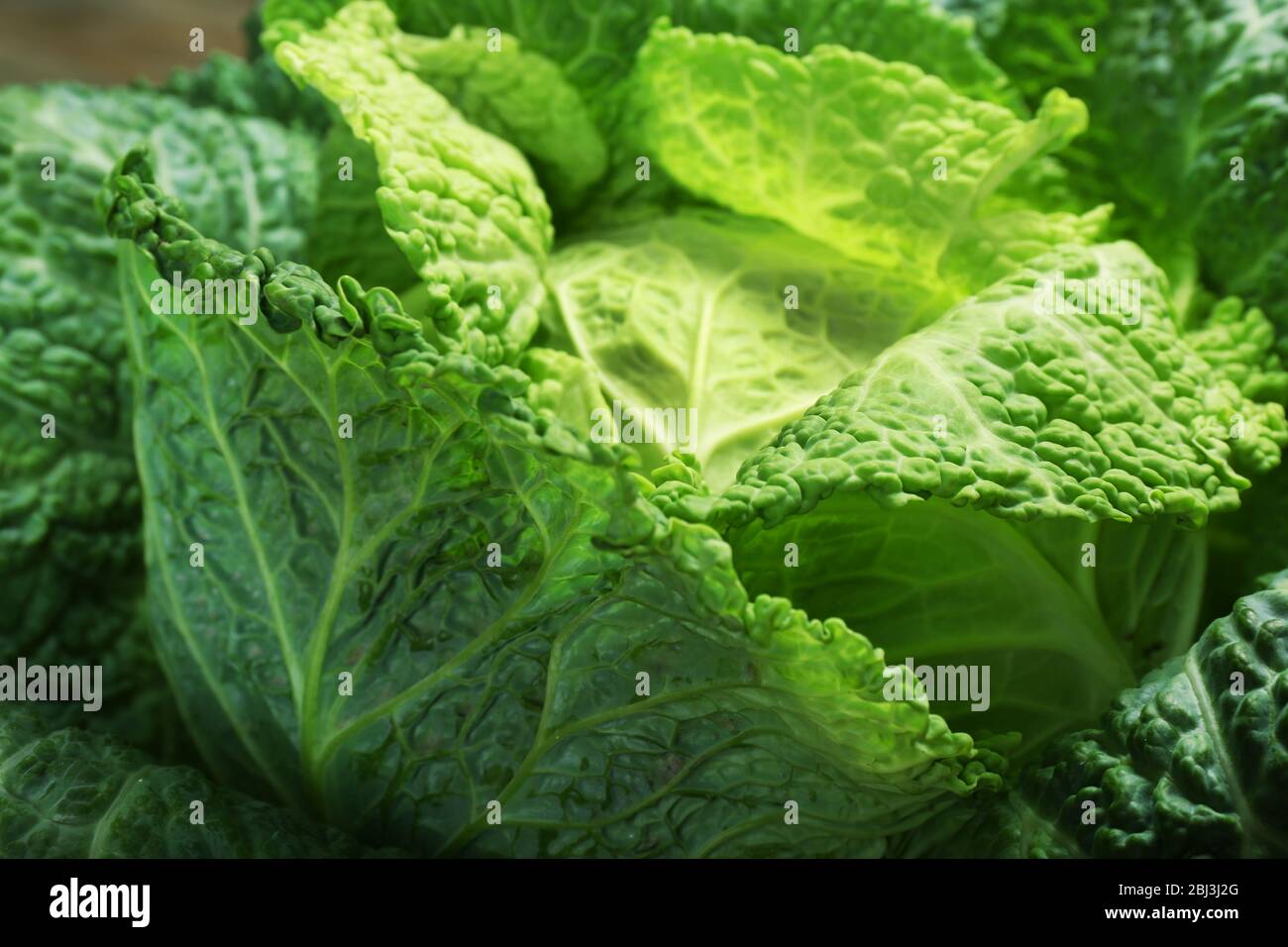 Savoy cabbage background, macro Stock Photo - Alamy