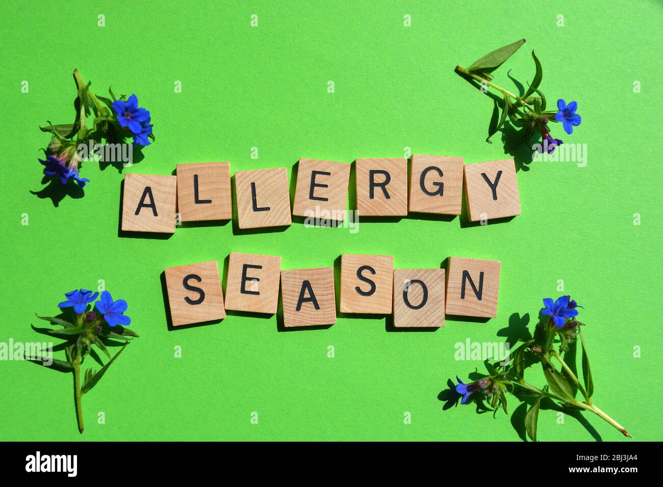 Allergy Season, words in wooden alphabet letters with flowers, isolated ...