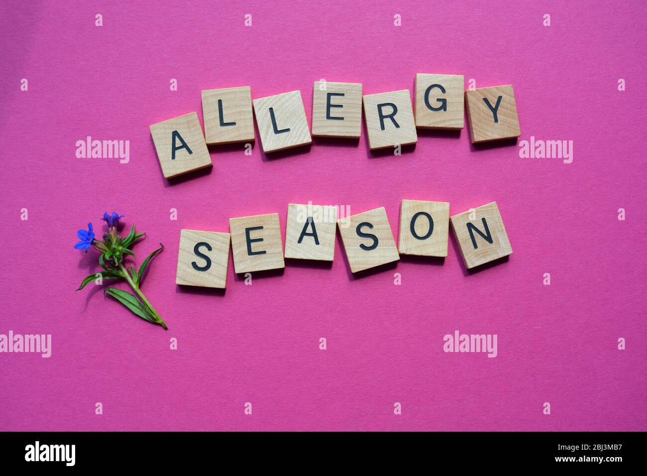 Allergy Season, words in wooden alphabet letters with flowers, isolated ...