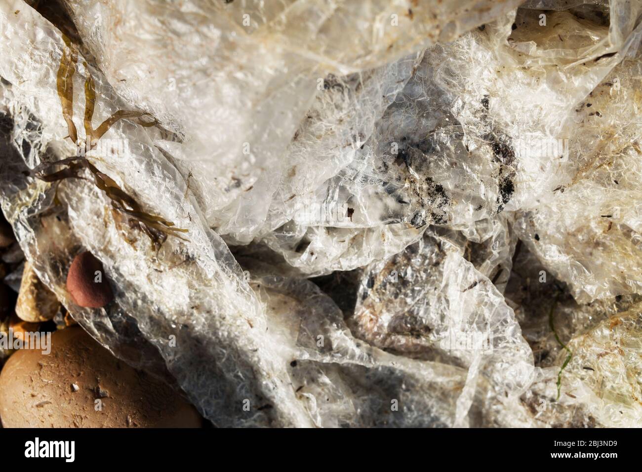 Plastic pollution england beach hi-res stock photography and images - Alamy