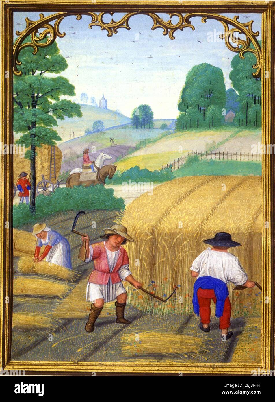 Vintage Medieval historical lifestyle artwork depicting everyday life ...