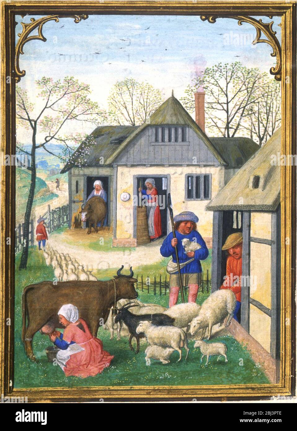 Vintage Medieval historical lifestyle artwork depicting everyday life ...