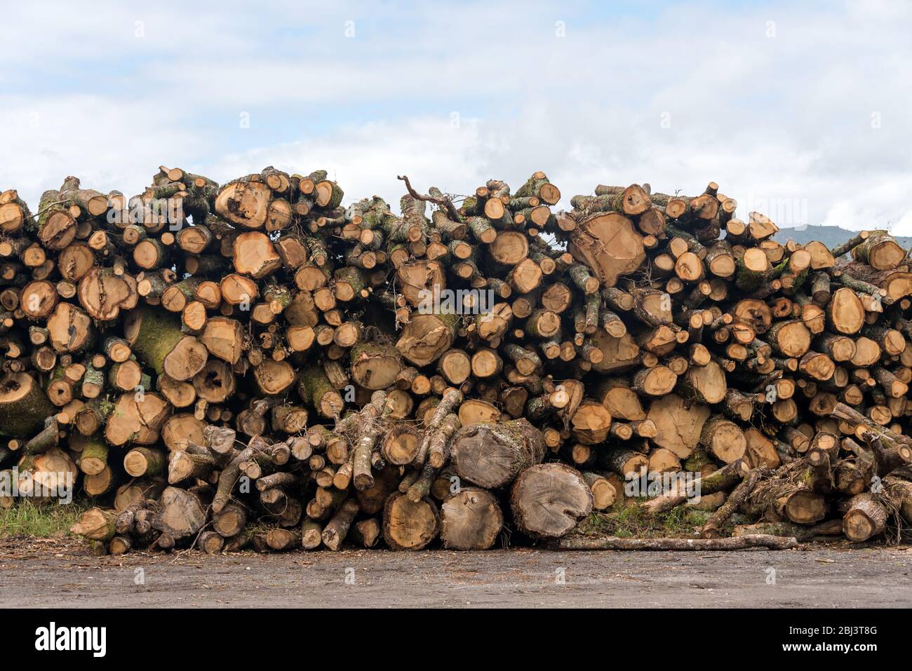 Sawmill wood yard firewood hi-res stock photography and images - Alamy