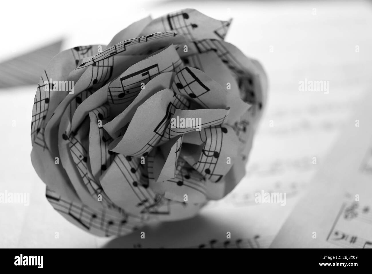 Single White Rose On Music