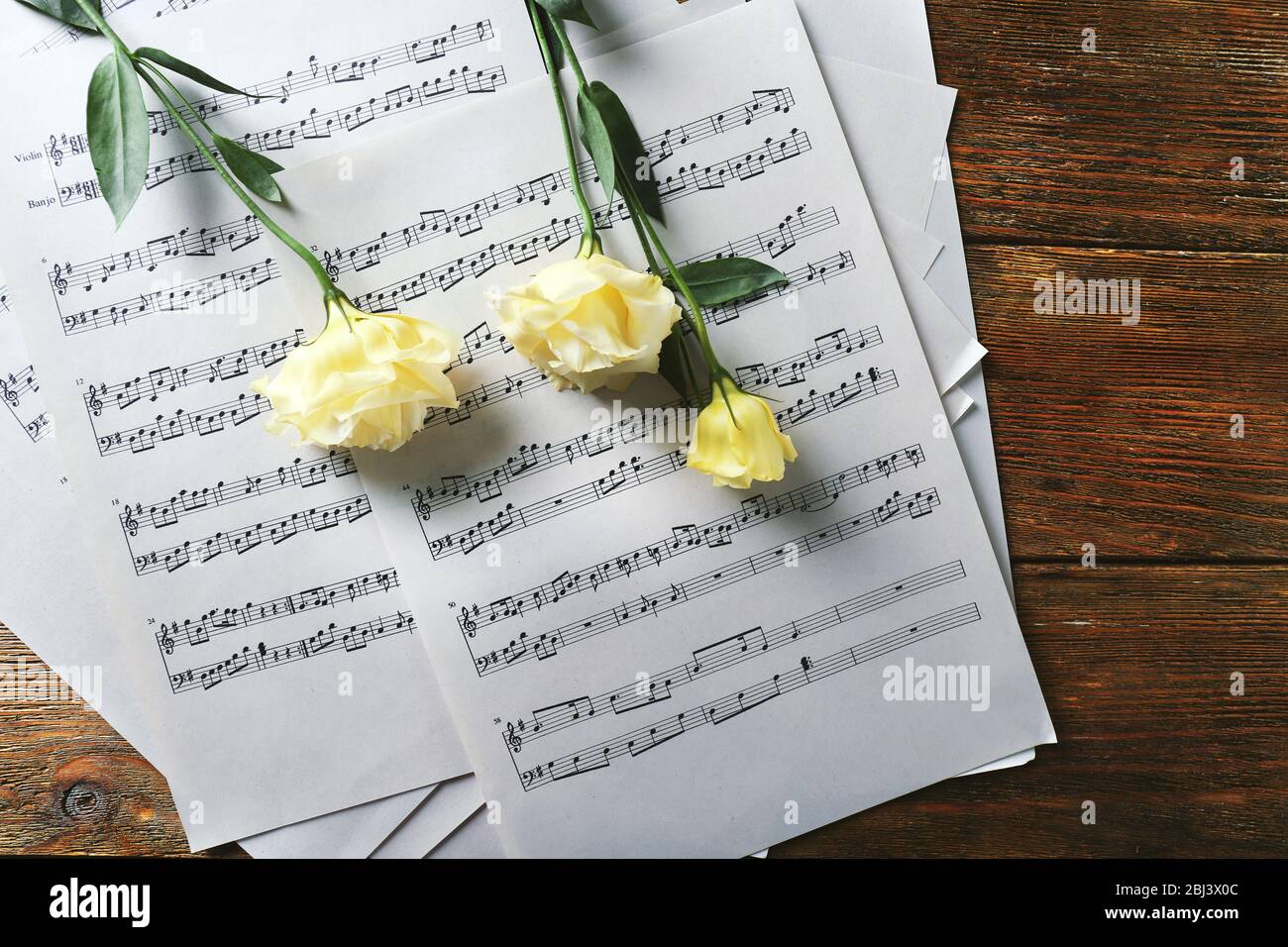 Beautiful white roses on musical notes pages background Stock Photo - Alamy