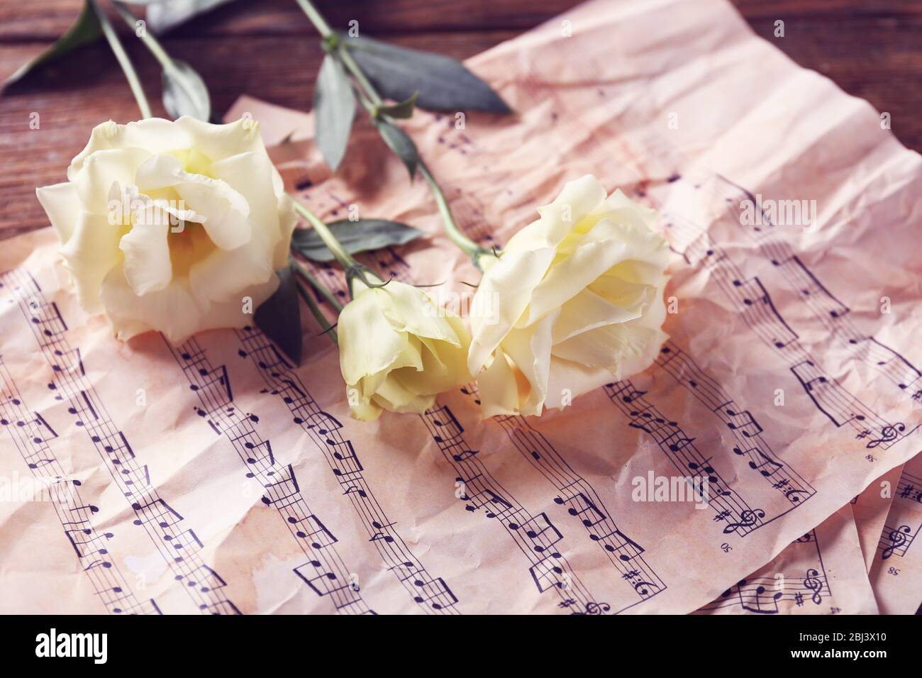 Beautiful white roses on musical notes pages background Stock Photo - Alamy
