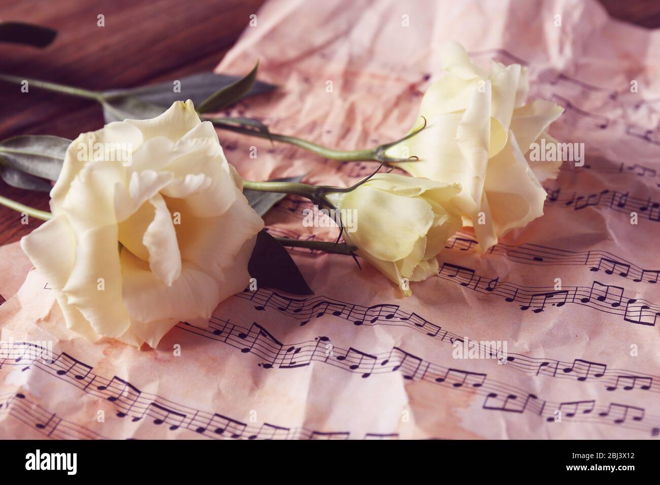 Beautiful white roses on musical notes pages background Stock Photo - Alamy