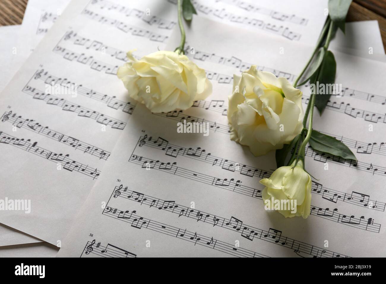 Beautiful white roses on musical notes pages background Stock Photo - Alamy
