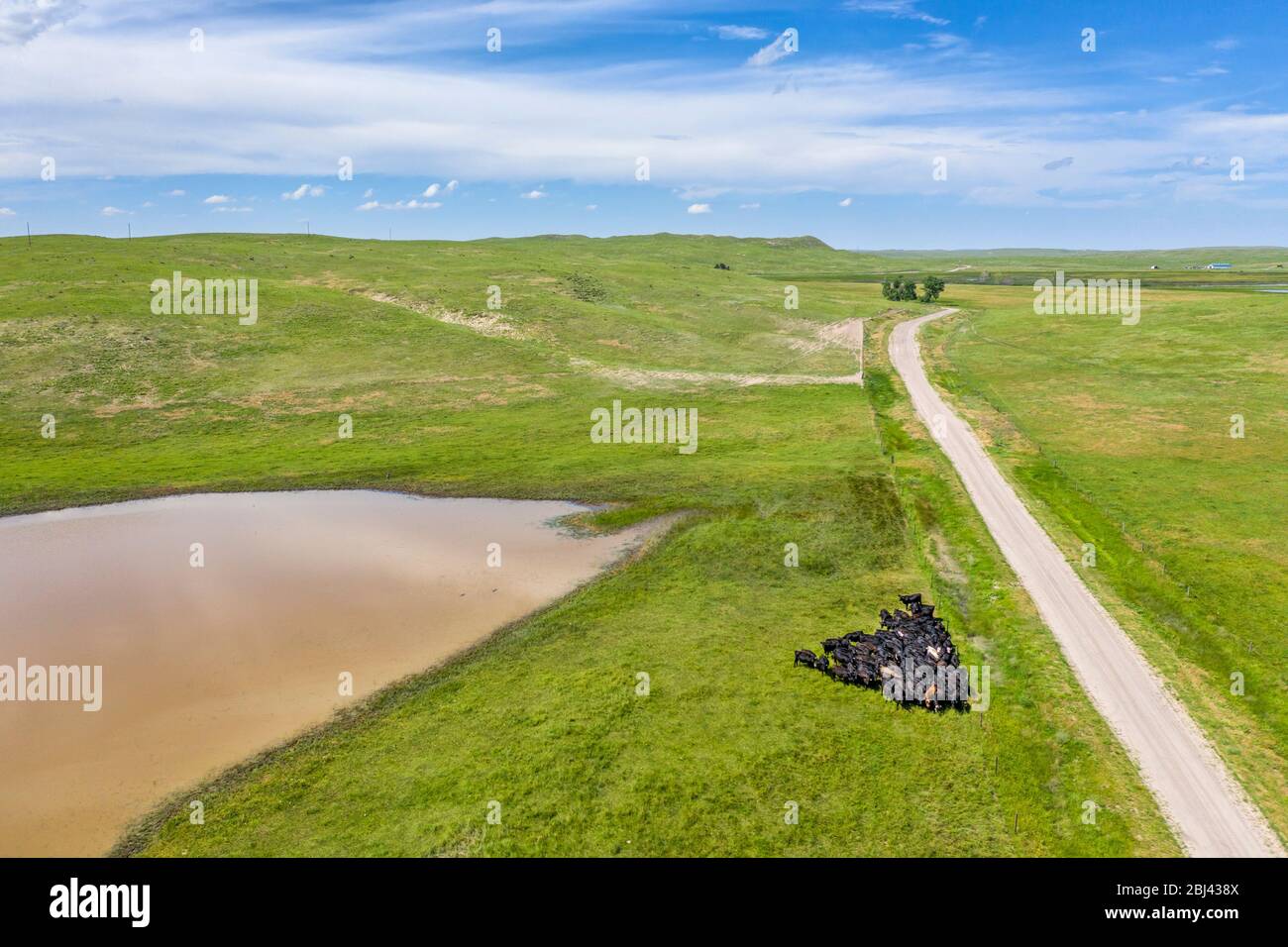 Cattle ranch aerial hi-res stock photography and images - Alamy