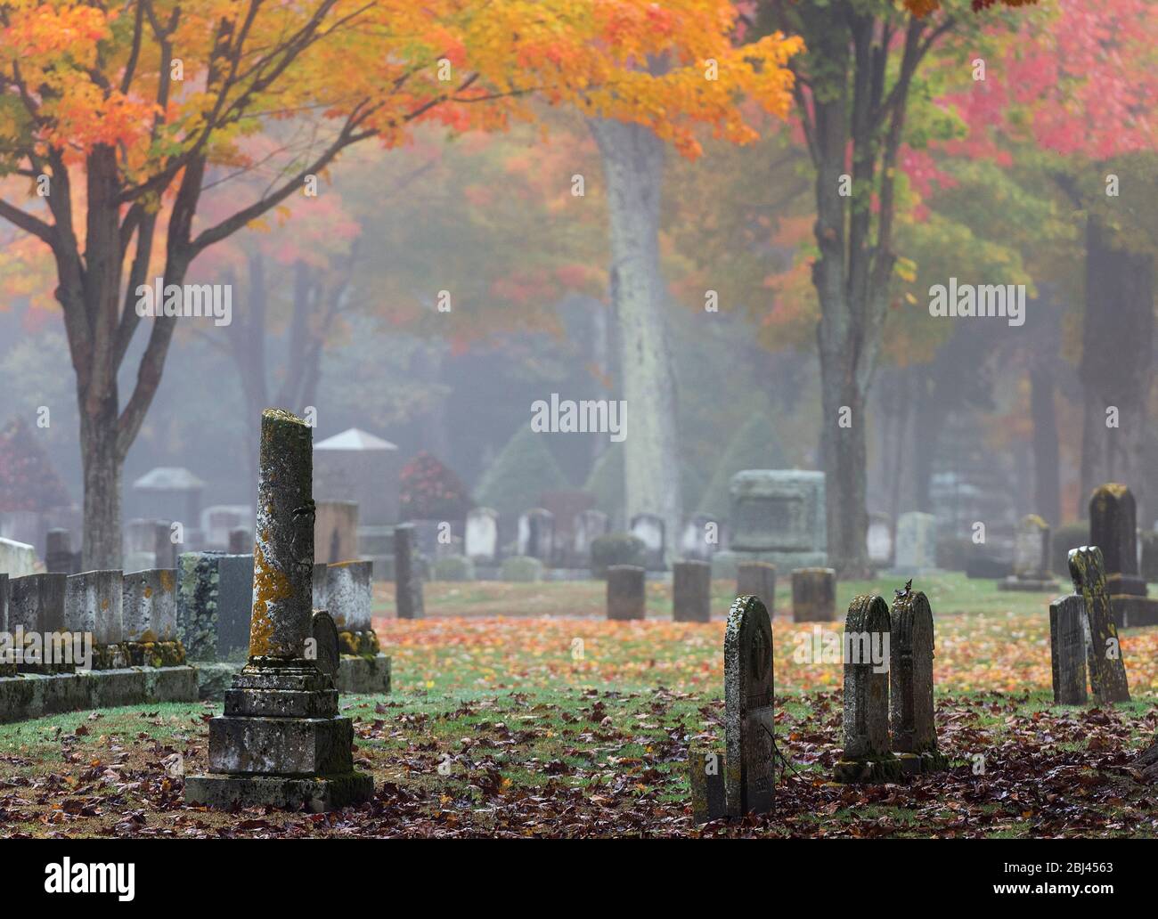 Foggy cemetery autumn hi-res stock photography and images - Alamy
